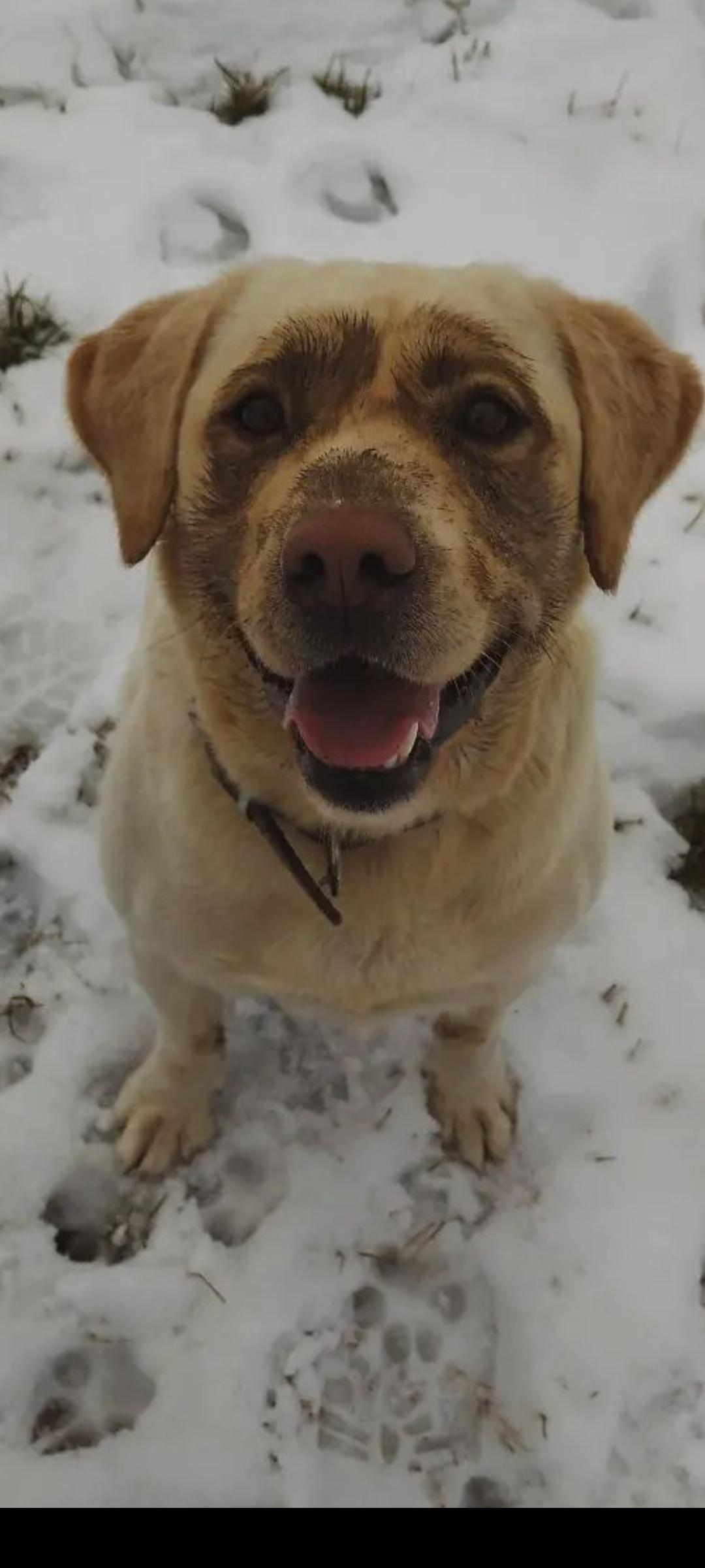 Nick after digging rocking the racoon look | Scrolller