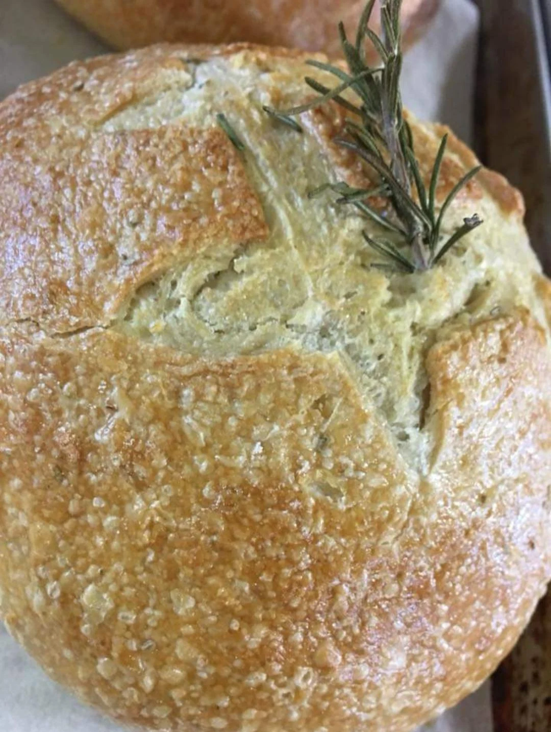 Crust is to hard. How to fix? | Scrolller