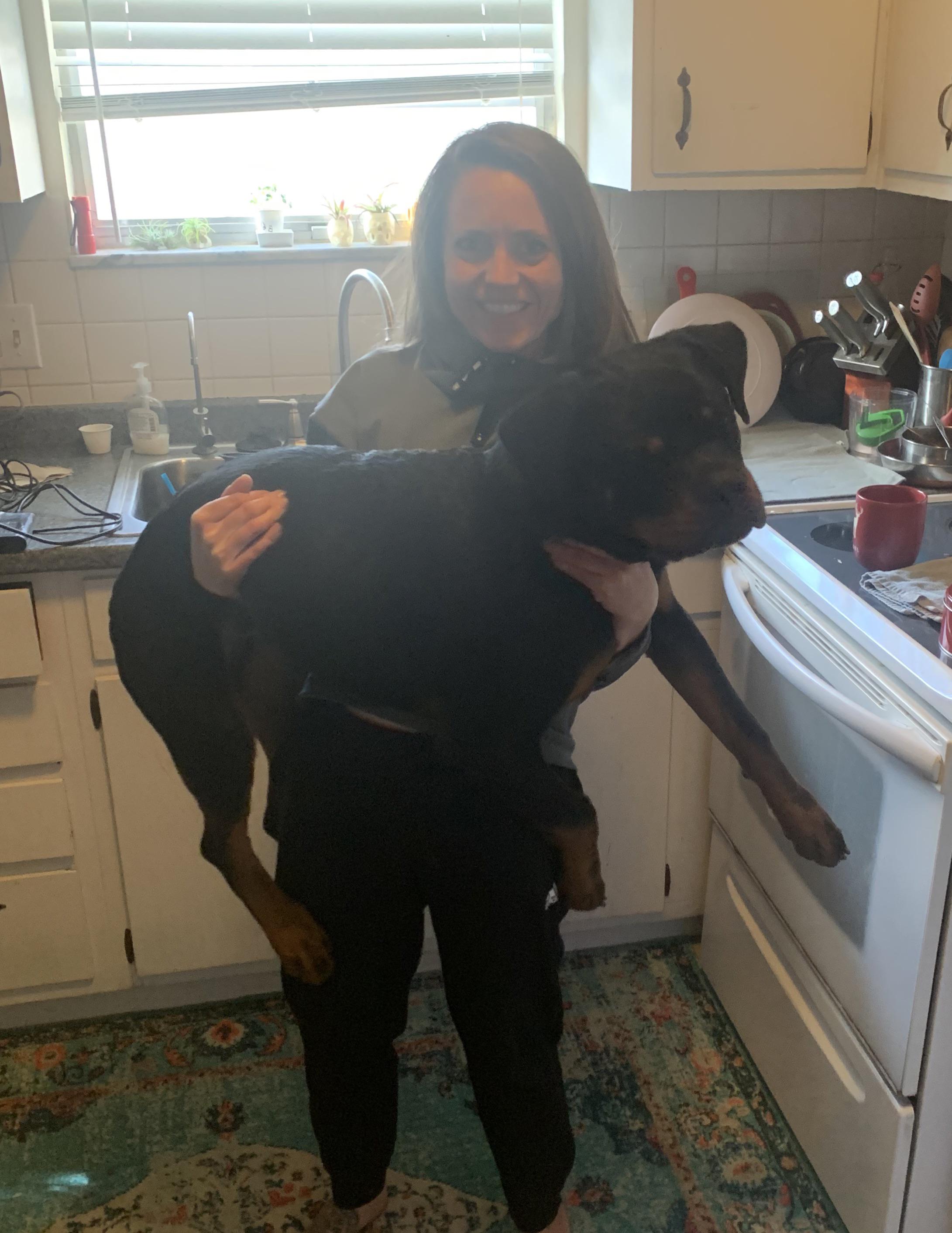6 months, 67lbs - I can still pick him up !!! | Scrolller
