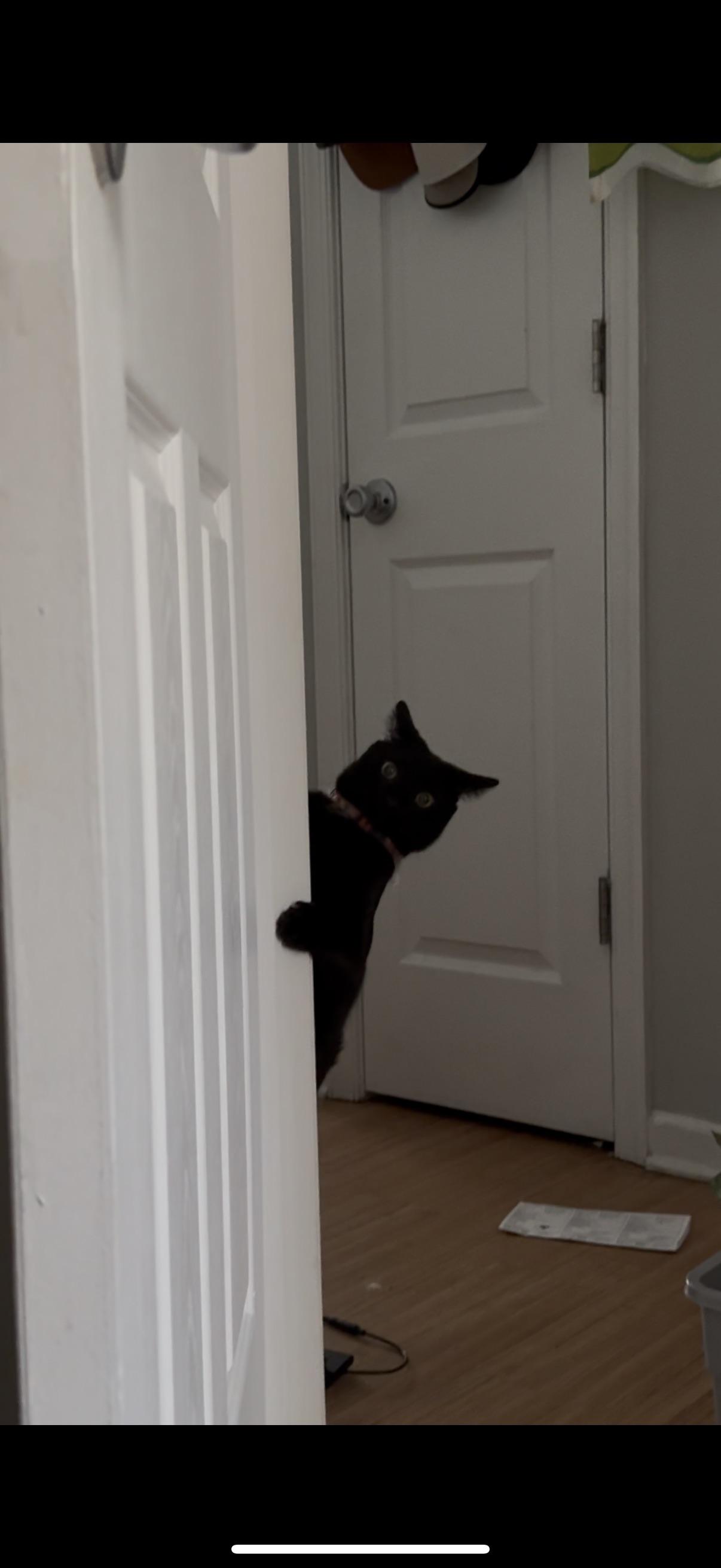 He looks like a little demon | Scrolller