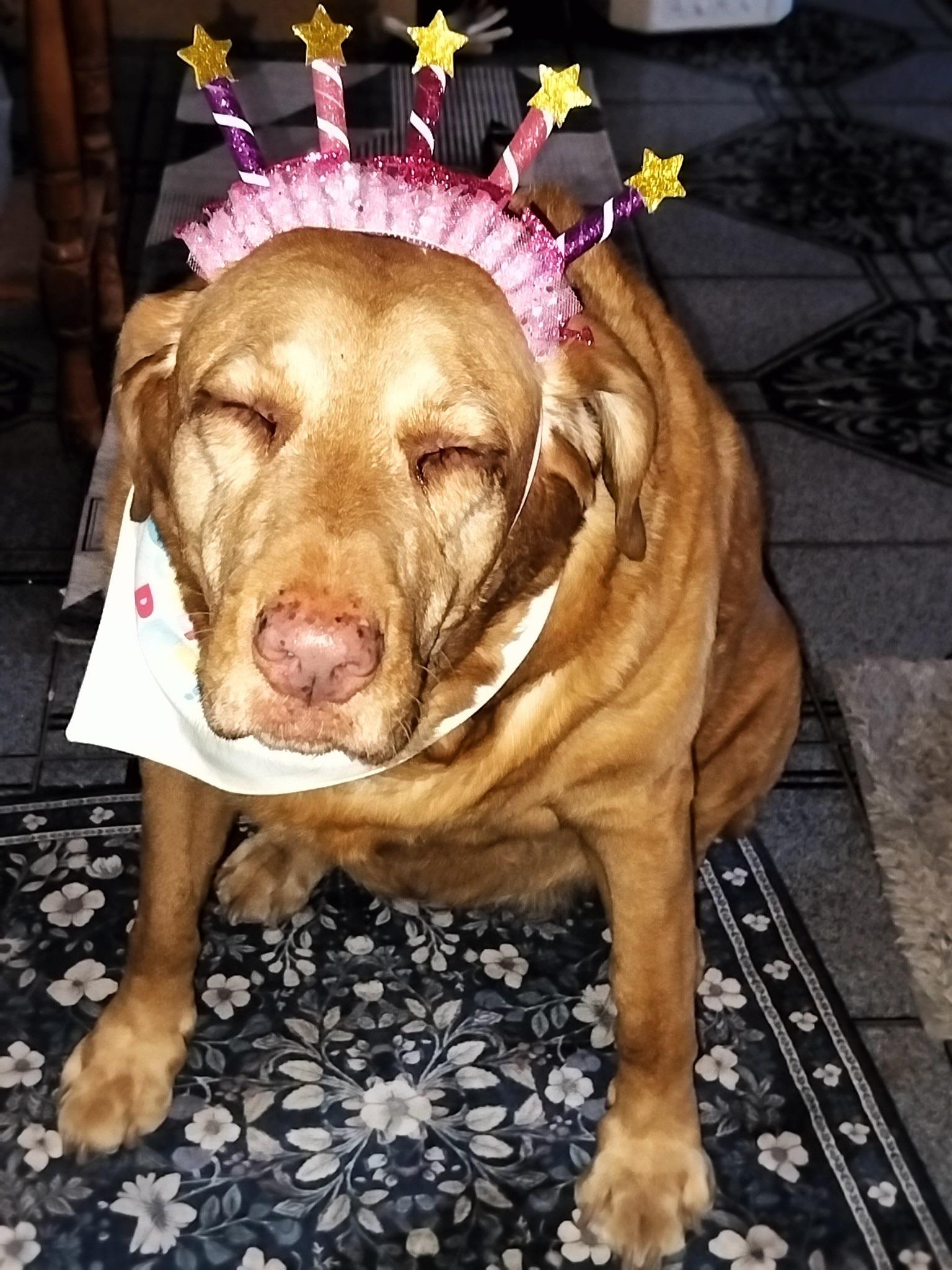 Happy Birthday Winnie! | Scrolller