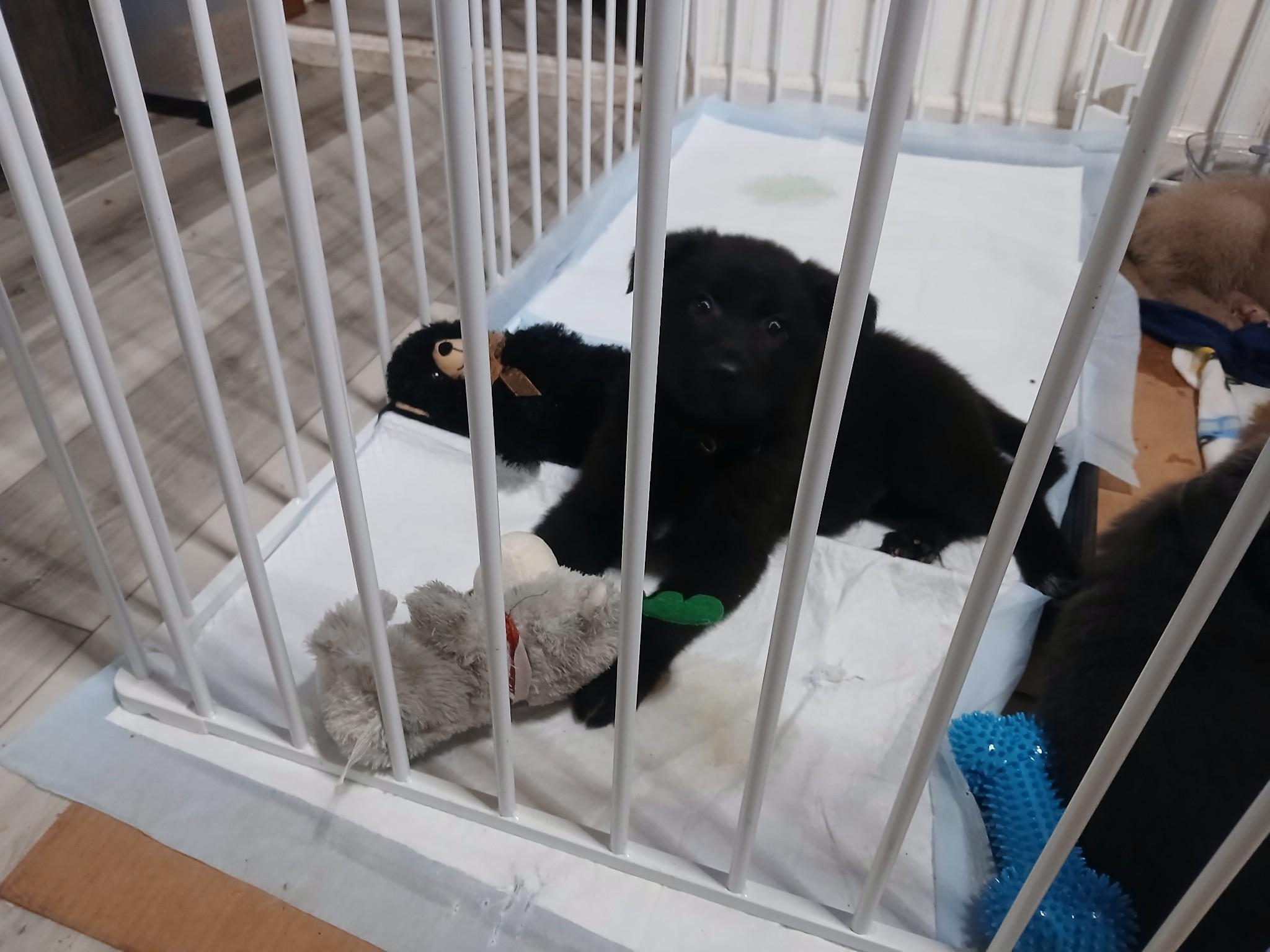 I Ve Seen Unspeakable Things Scrolller