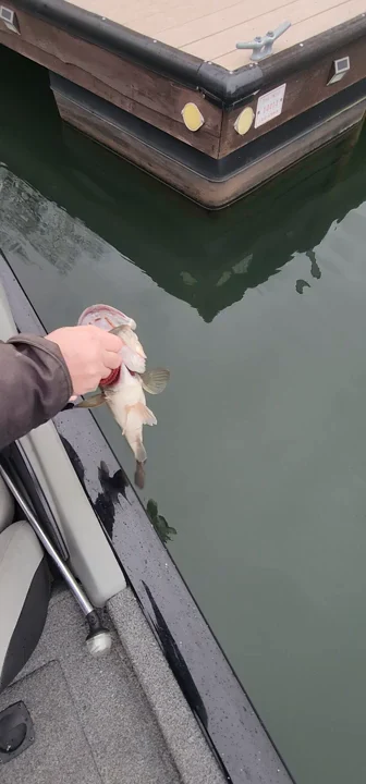 This is the best part imo!! | Scrolller