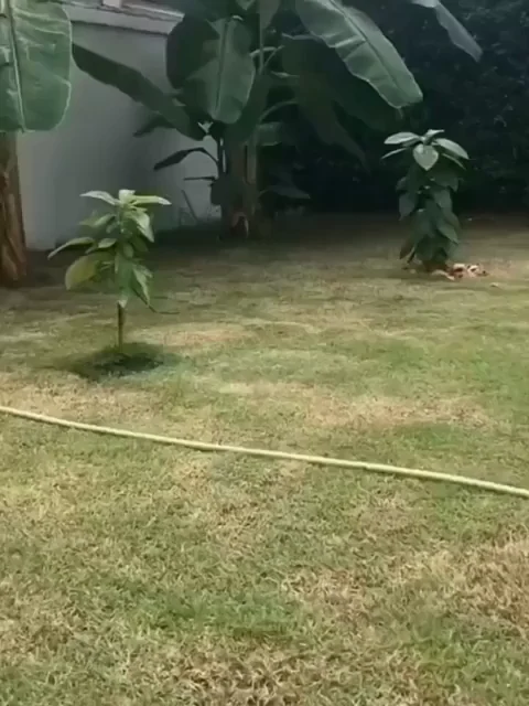 How the tables have turned | Scrolller