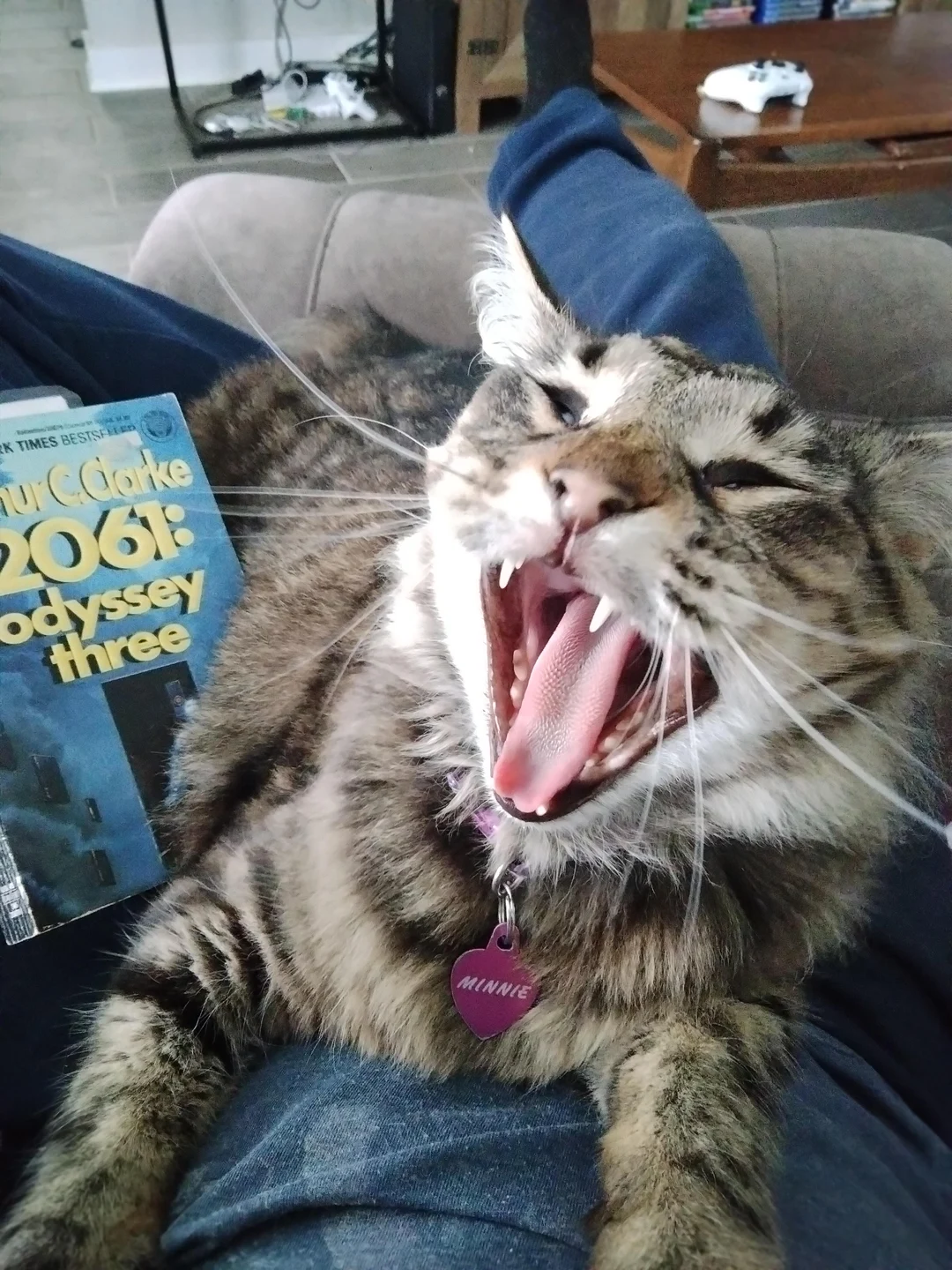 Scary floof | Scrolller