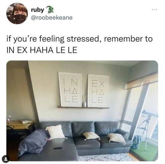 Stress relief done right! | Scrolller