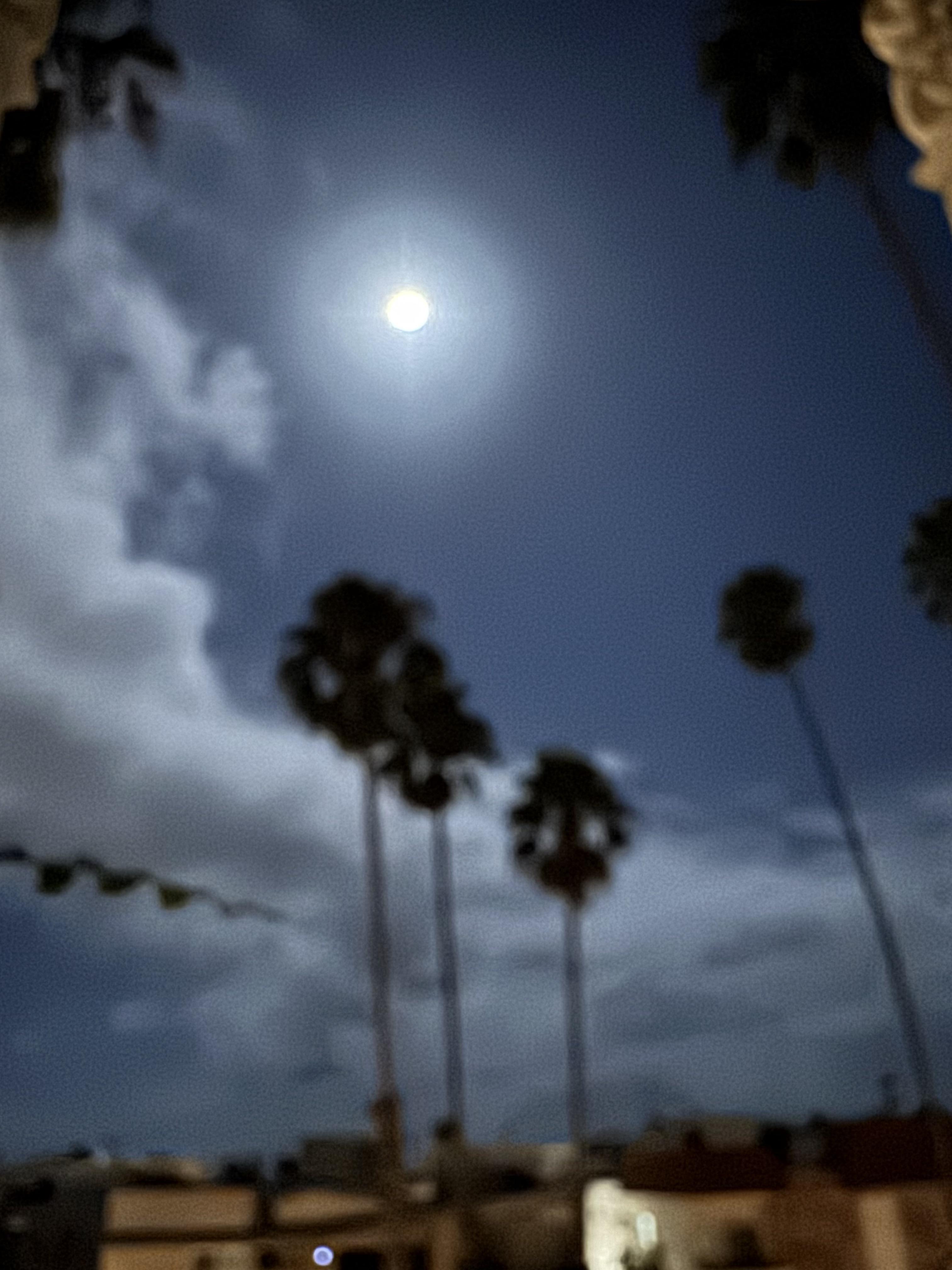 Night surfer of Santa Monica here, going to the pier to pet sharks and catch waves. 🌌🎡🌊🏄🏽‍♂️🦈 ...