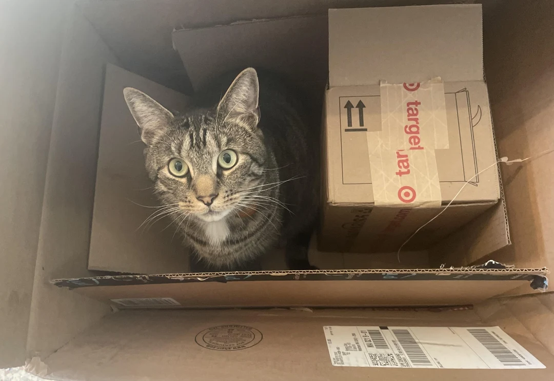 Fractally trapped | Scrolller