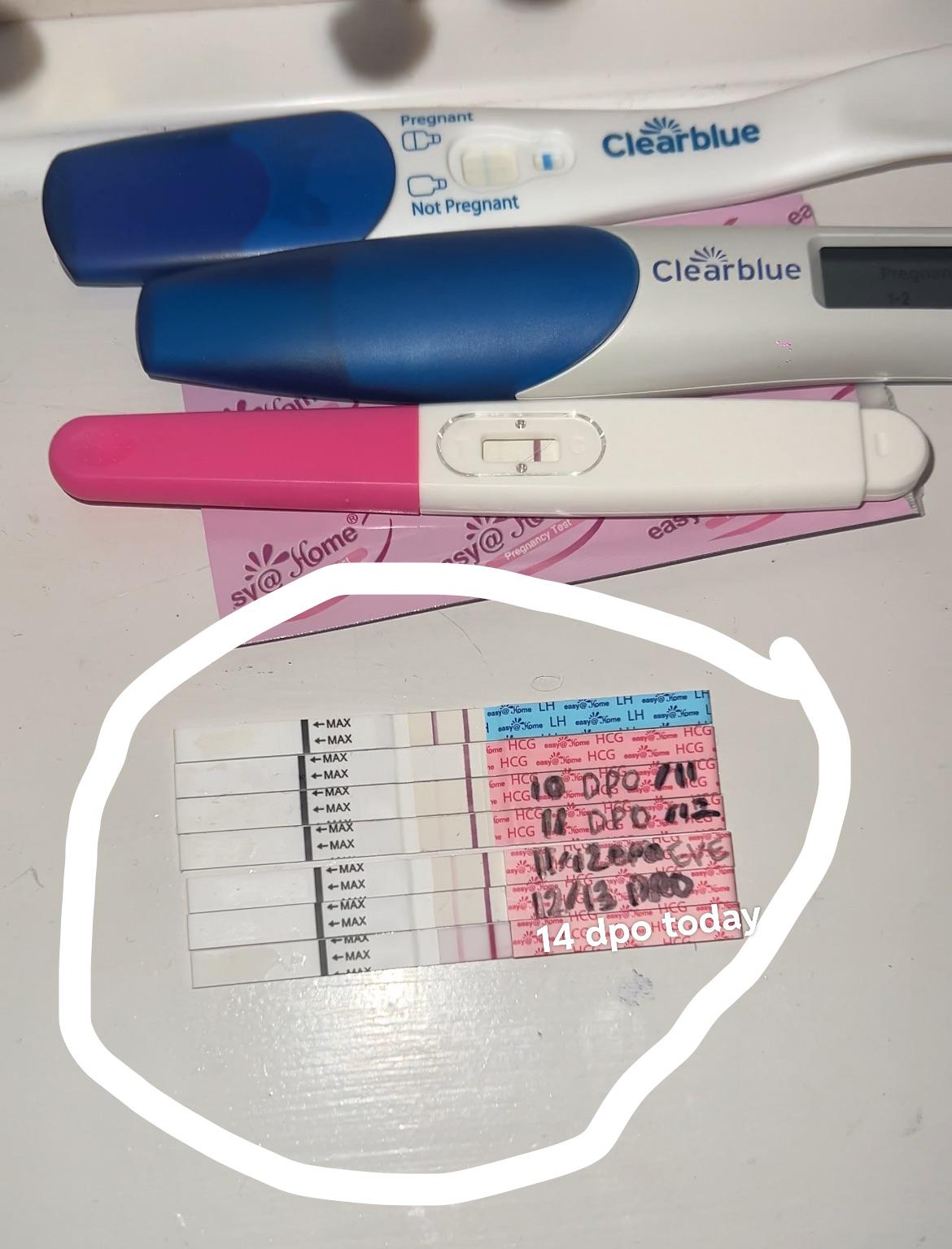 Line progression | Scrolller