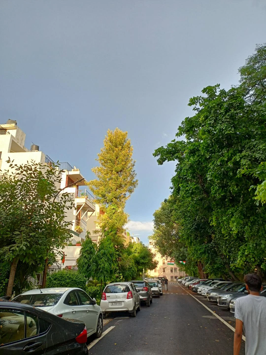 clear skies | Scrolller