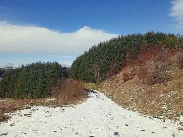 More snowy paths | Scrolller