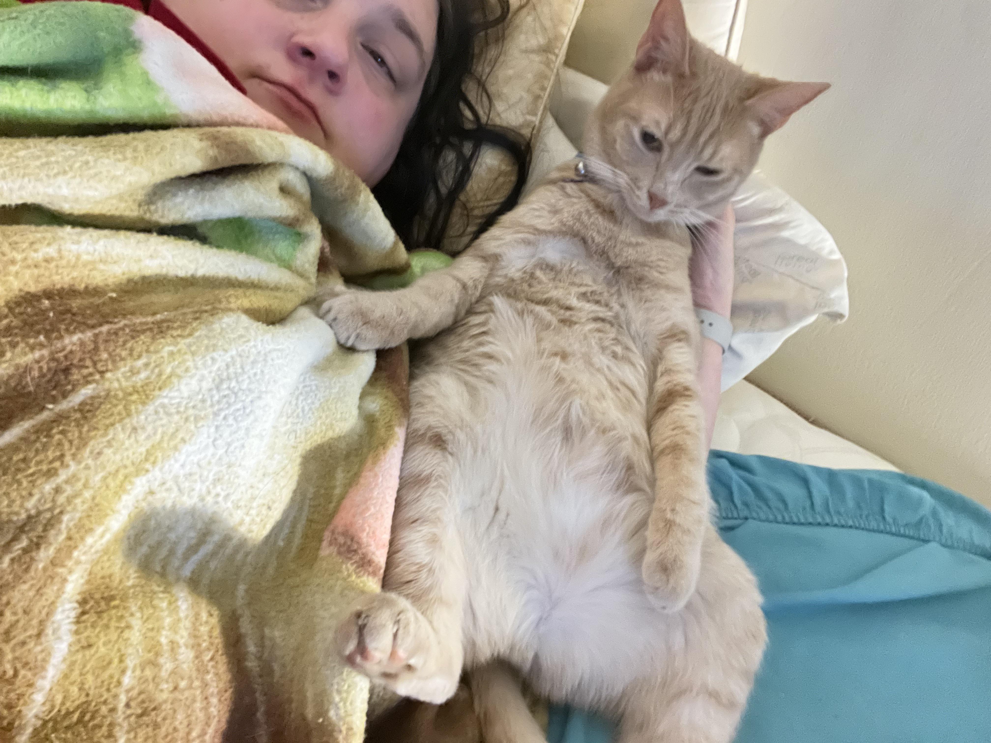 Cheddar and Minerva ignore my face I’ve been sick | Scrolller