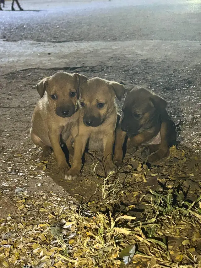 To bless your feed | Scrolller