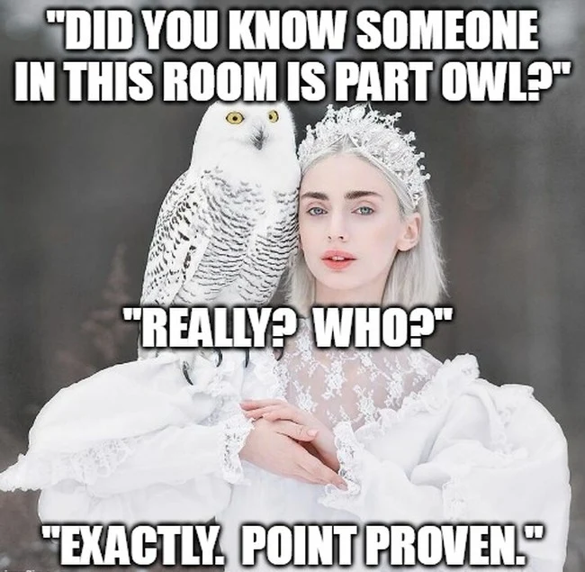 Did you know someone in this room is part owl? | Scrolller