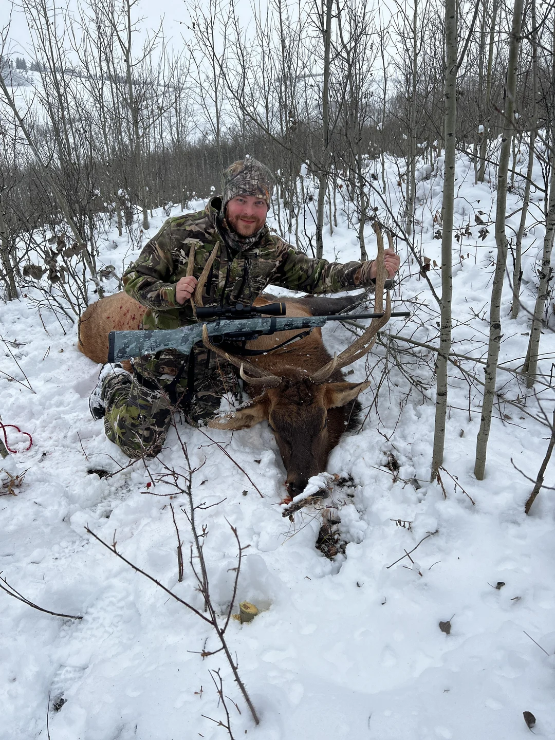 Check off the Bull Elk box! | Scrolller