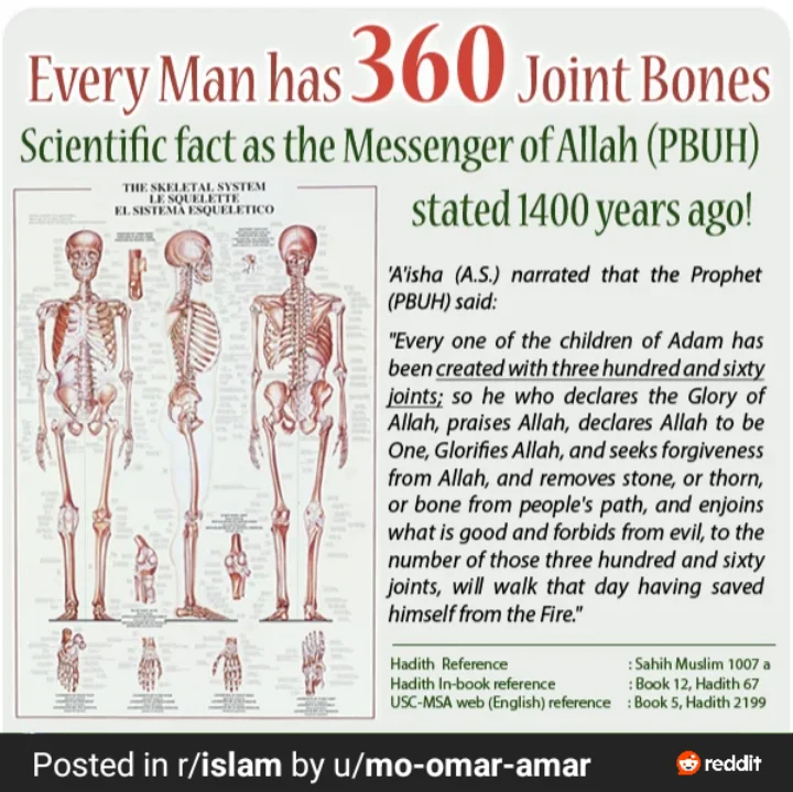 Hadith About 360 Joint Bones | Scrolller