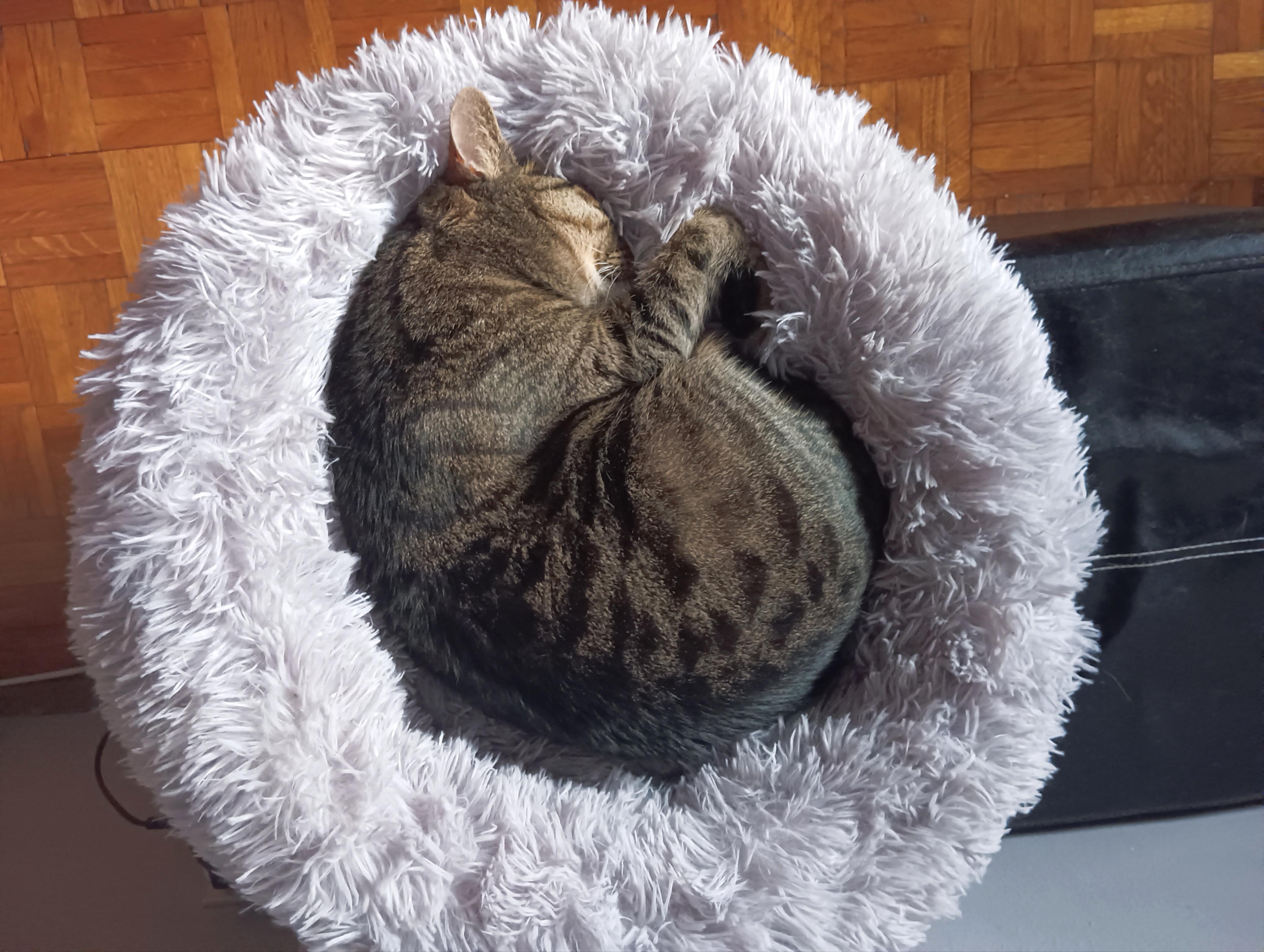 Super comfy | Scrolller