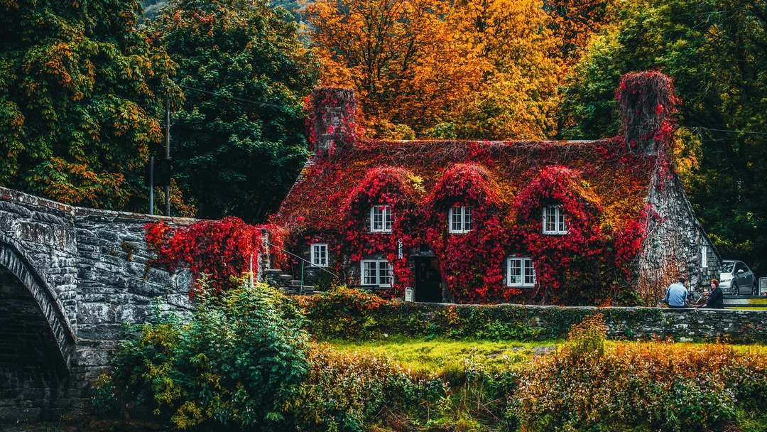 Fall colors in UK countryside [1920x1080] | Scrolller