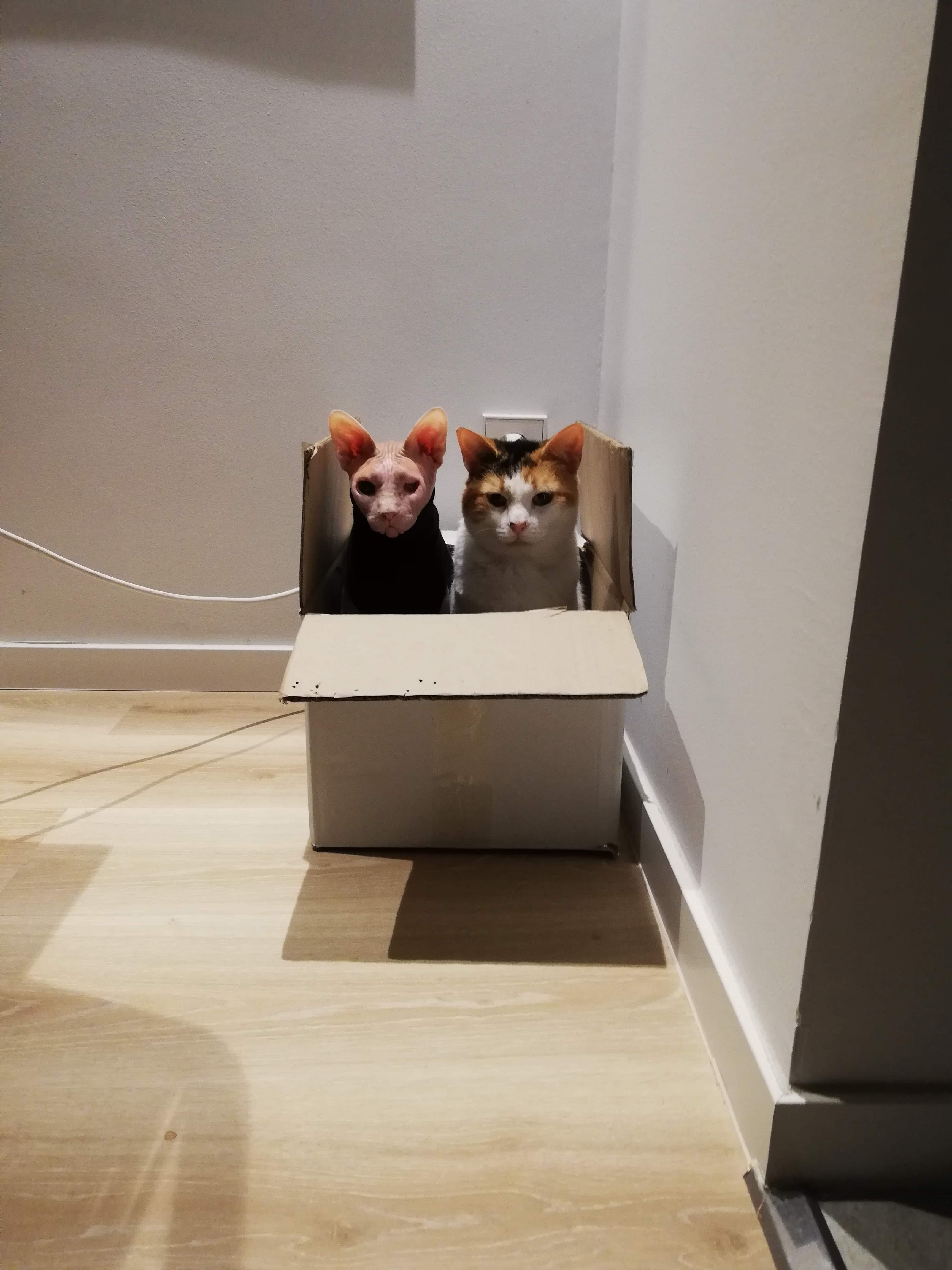 All aboard! | Scrolller