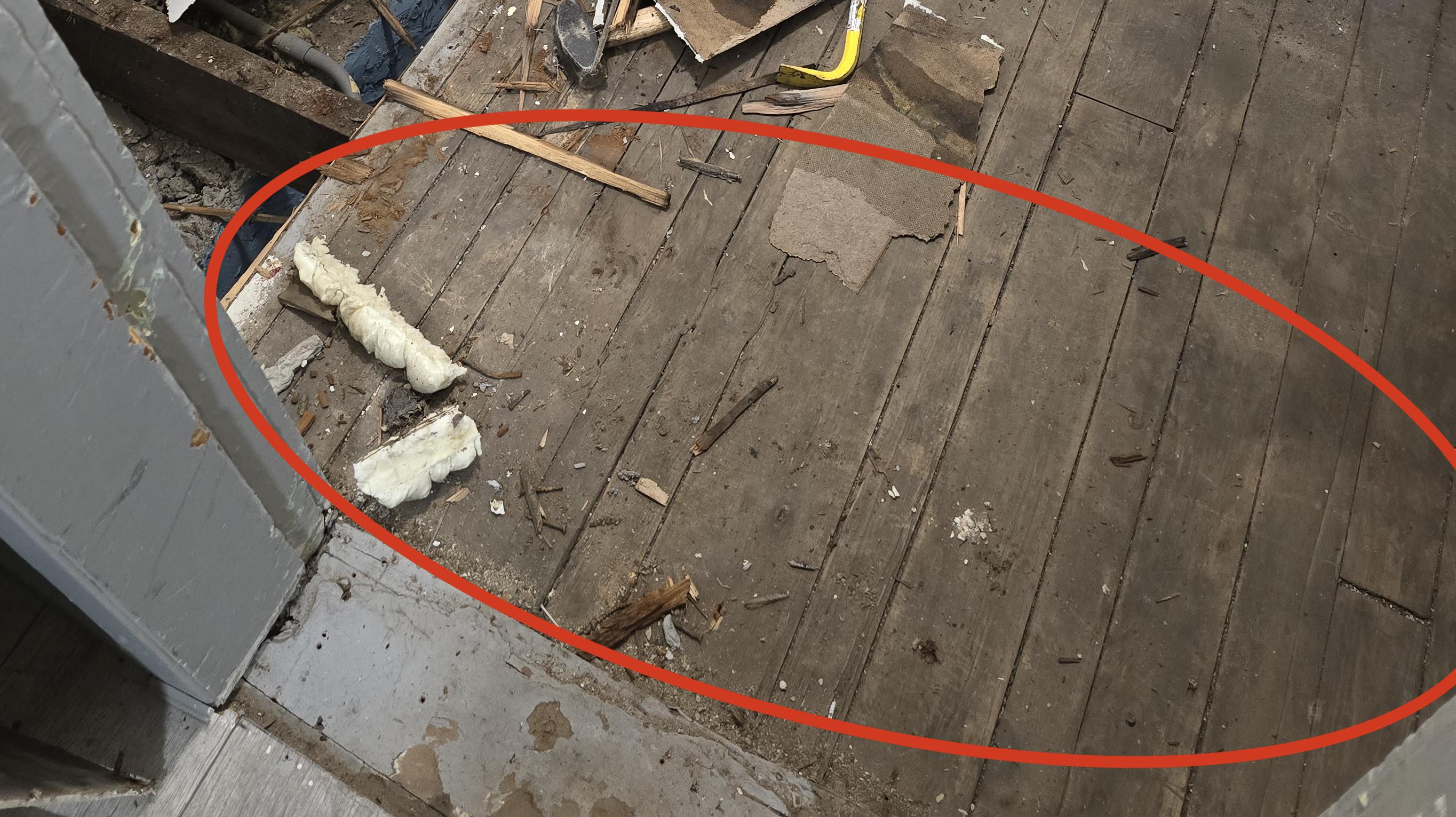 Hello, What kind stud is this that goes over the subfloor? | Scrolller