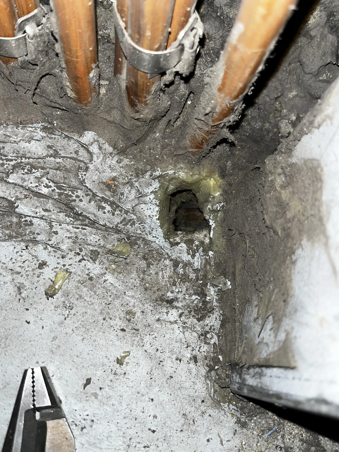 Electrical riser fleshlight? | Scrolller