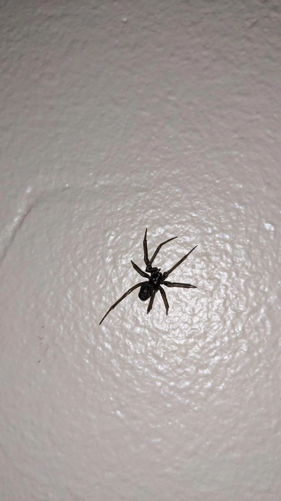 Identification | Scrolller