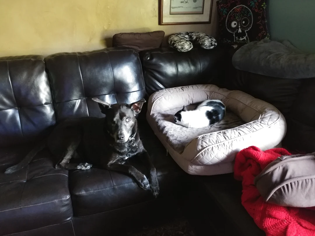 Private guard | Scrolller