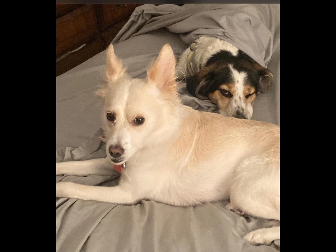 You can’t tell me he’s not plotting to kill her…. | Scrolller