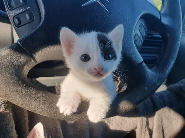 Discover More Like Cute Best Driving Instructor And Related Content