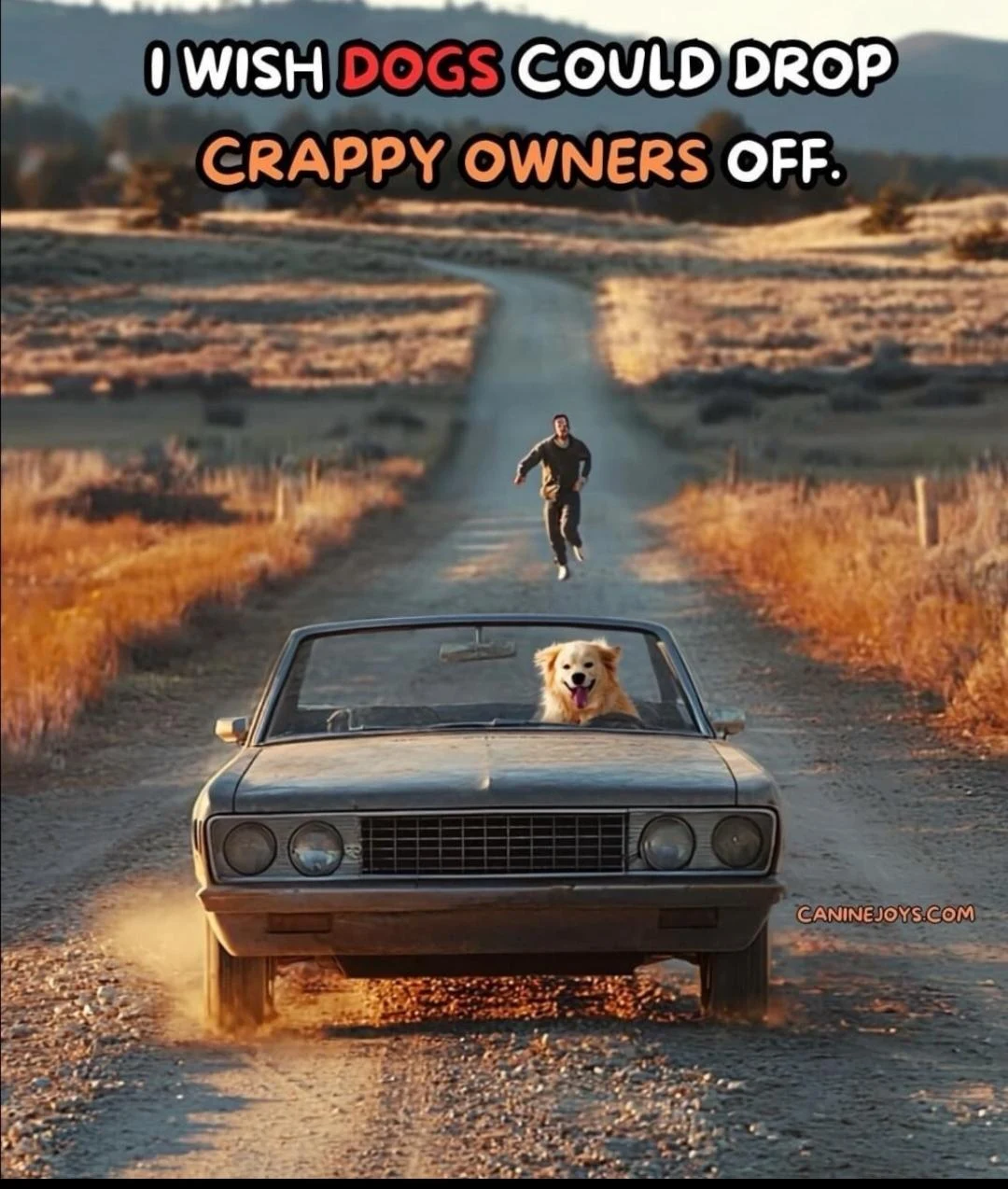 If only... | Scrolller