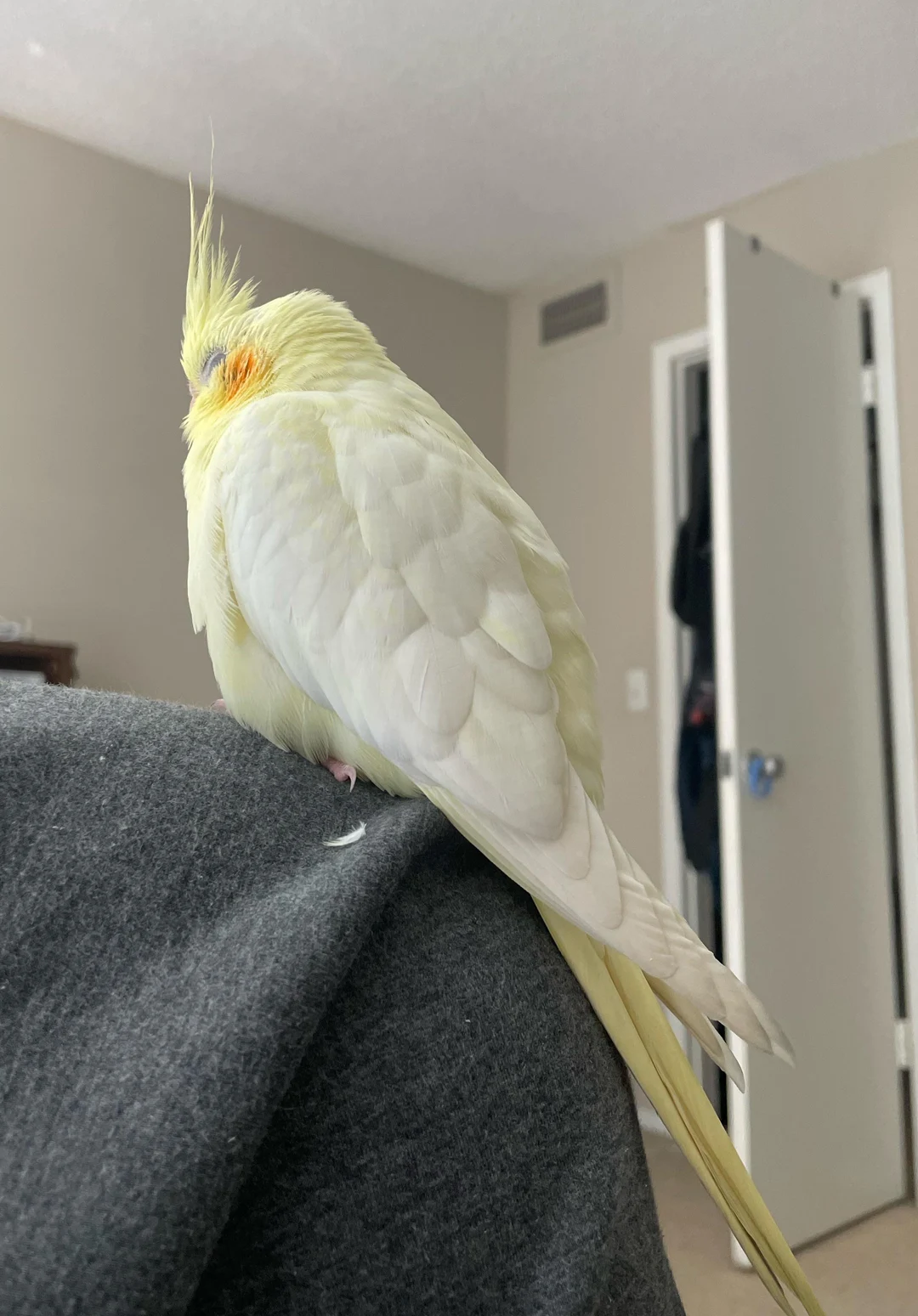 Help. Stuck. | Scrolller