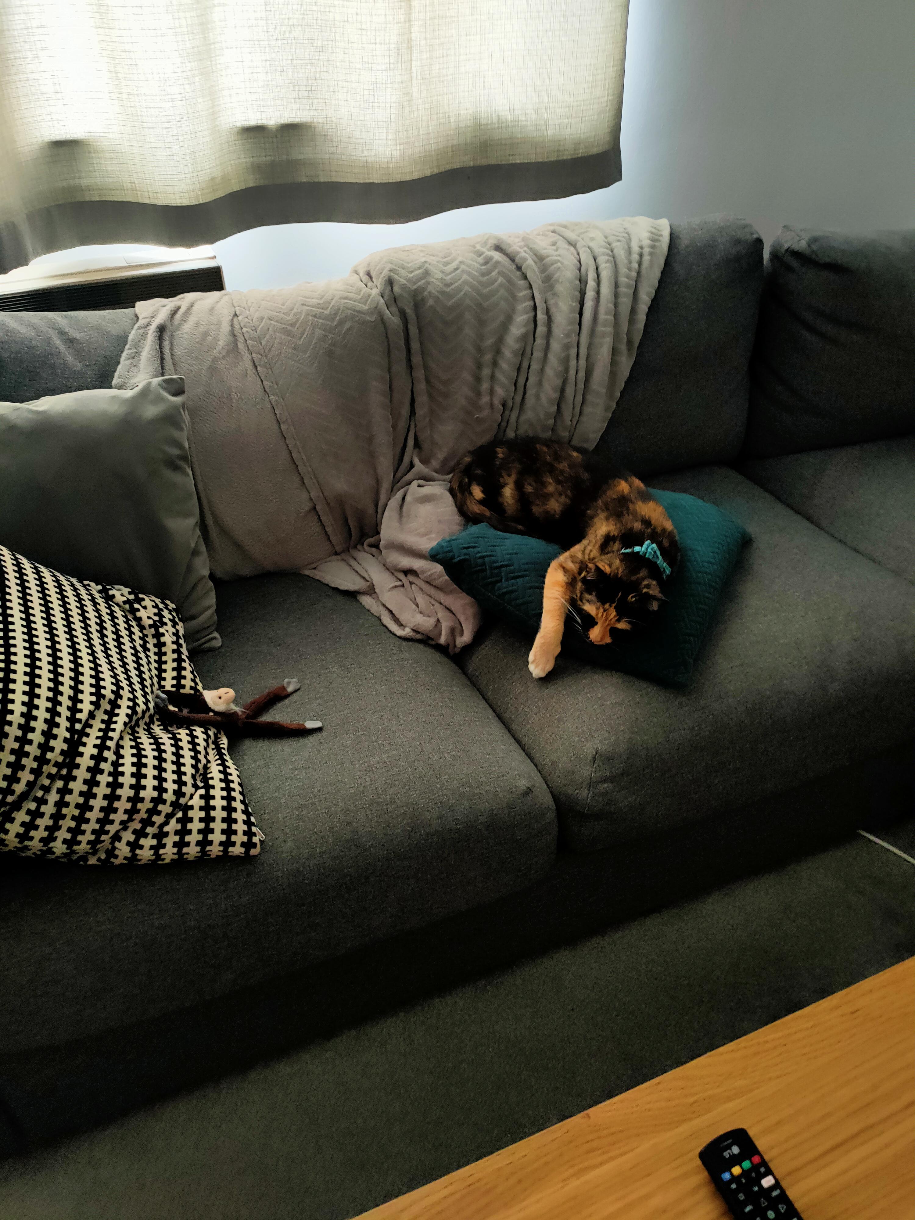 Chilling with her monkey friend. | Scrolller