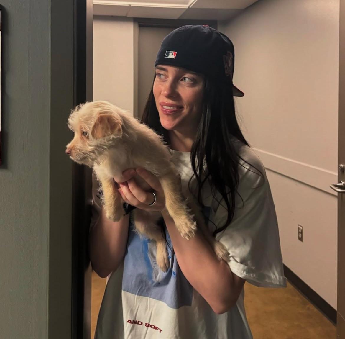 Happy Birthday Billie! | Scrolller