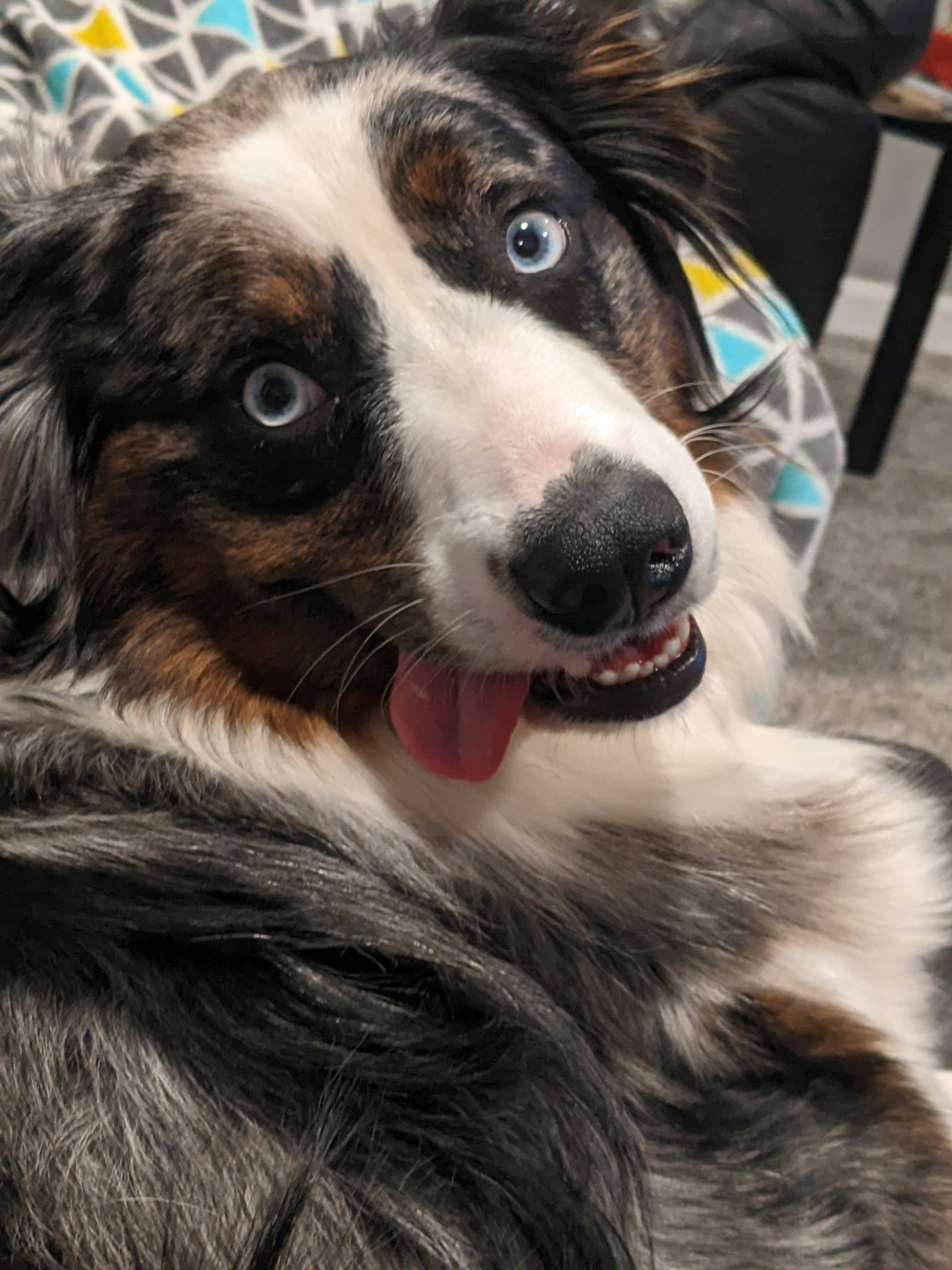 [OC] DERP | Scrolller