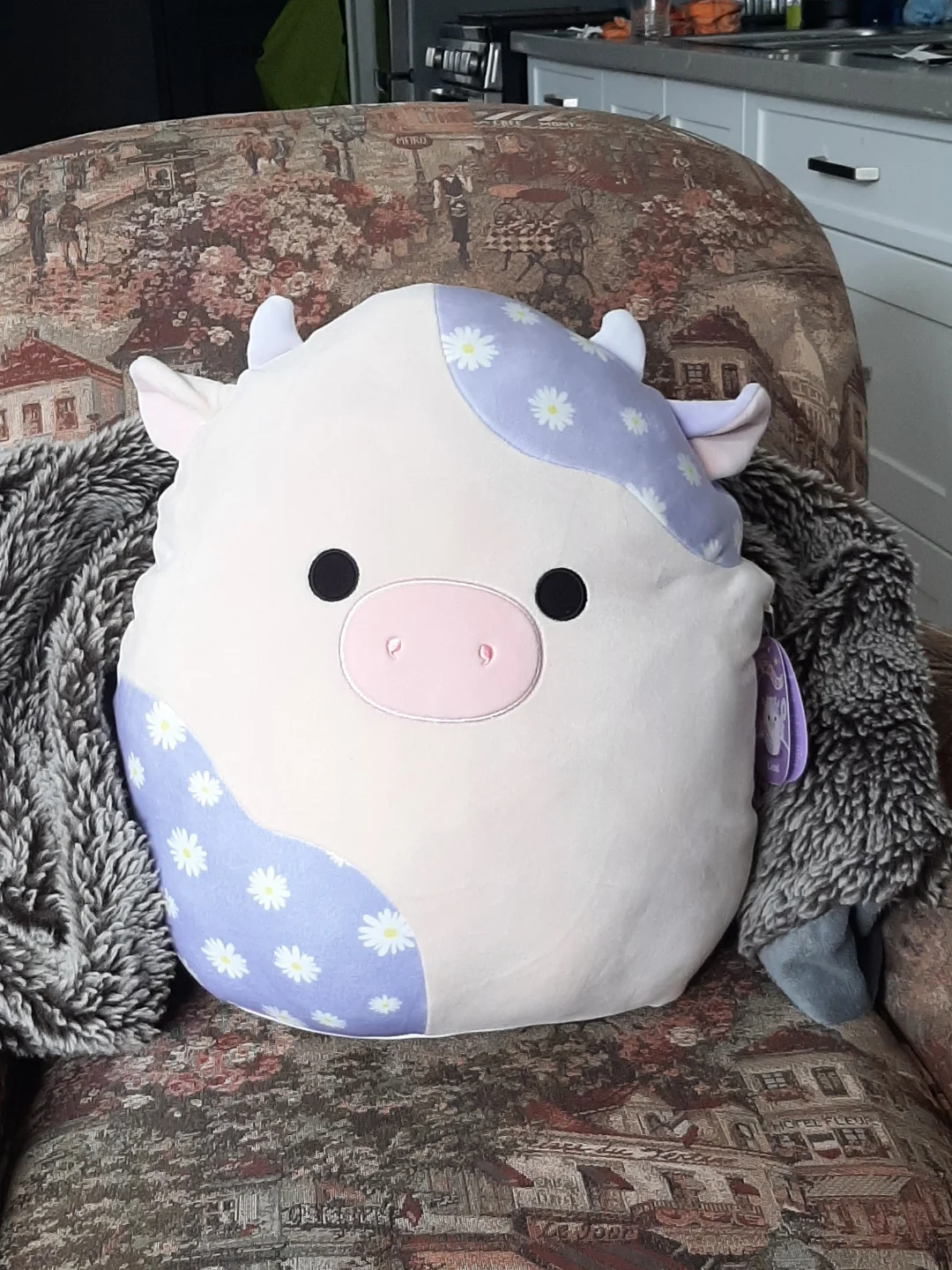 Easter Squishmallow Find | Scrolller