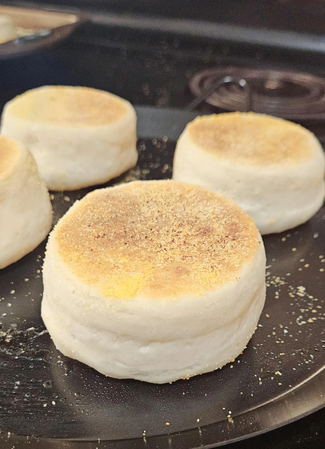 My first batch of English muffins 💛🧡🐝 so fluffy | Scrolller
