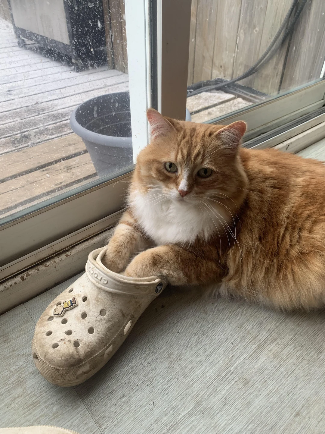 (OC) he boot too big for he god damn feet | Scrolller