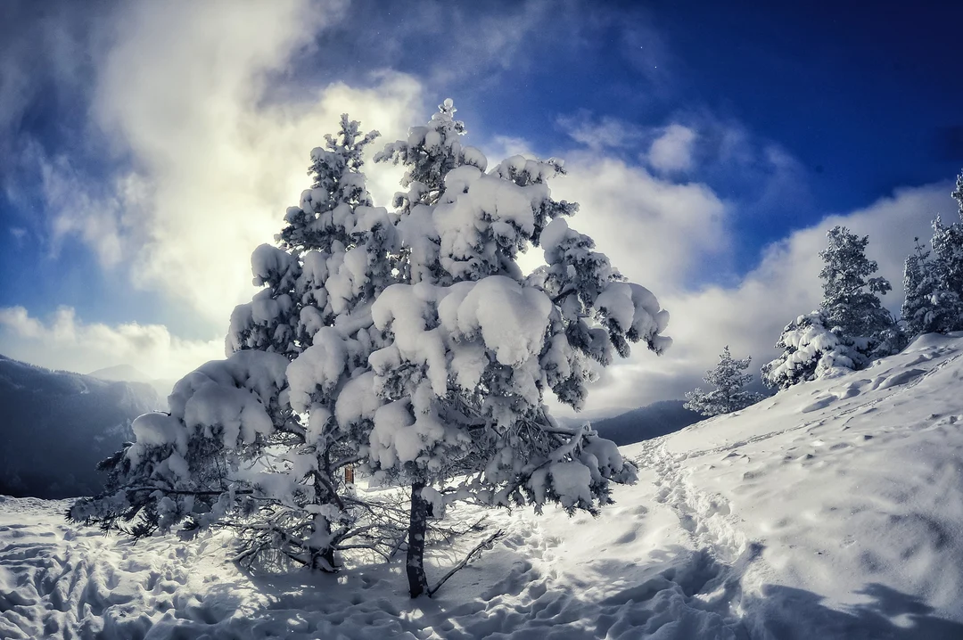 Winter landscape in Carpathian Mountains of Romania | Scrolller