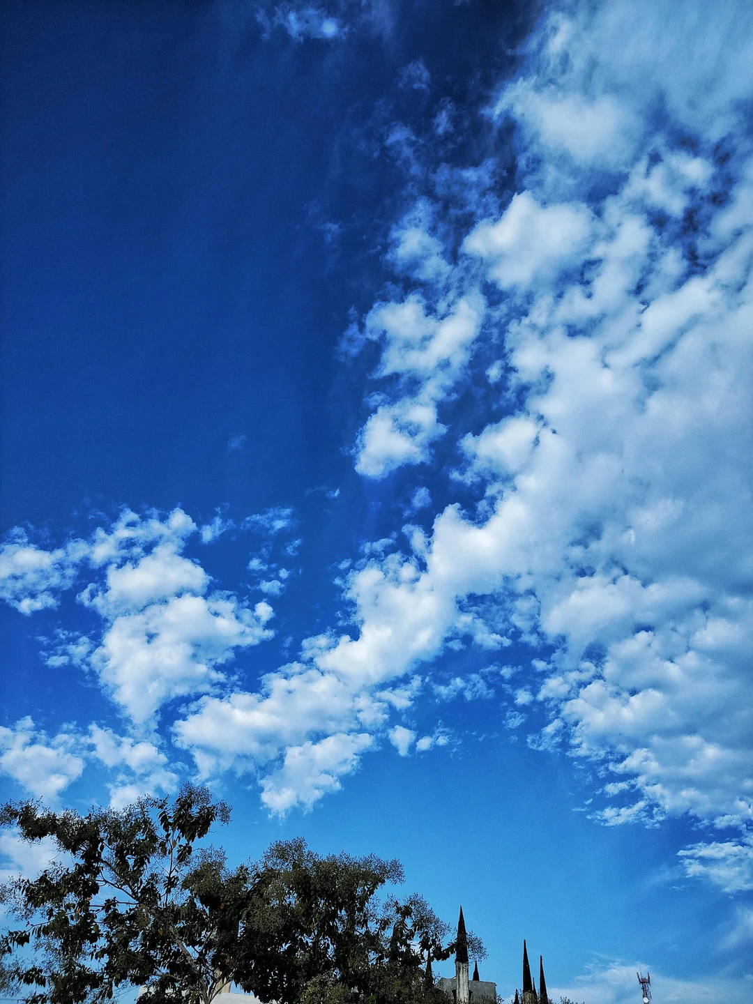 Cielito lindo | Scrolller