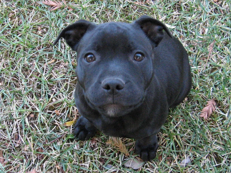 That Feel... | Scrolller