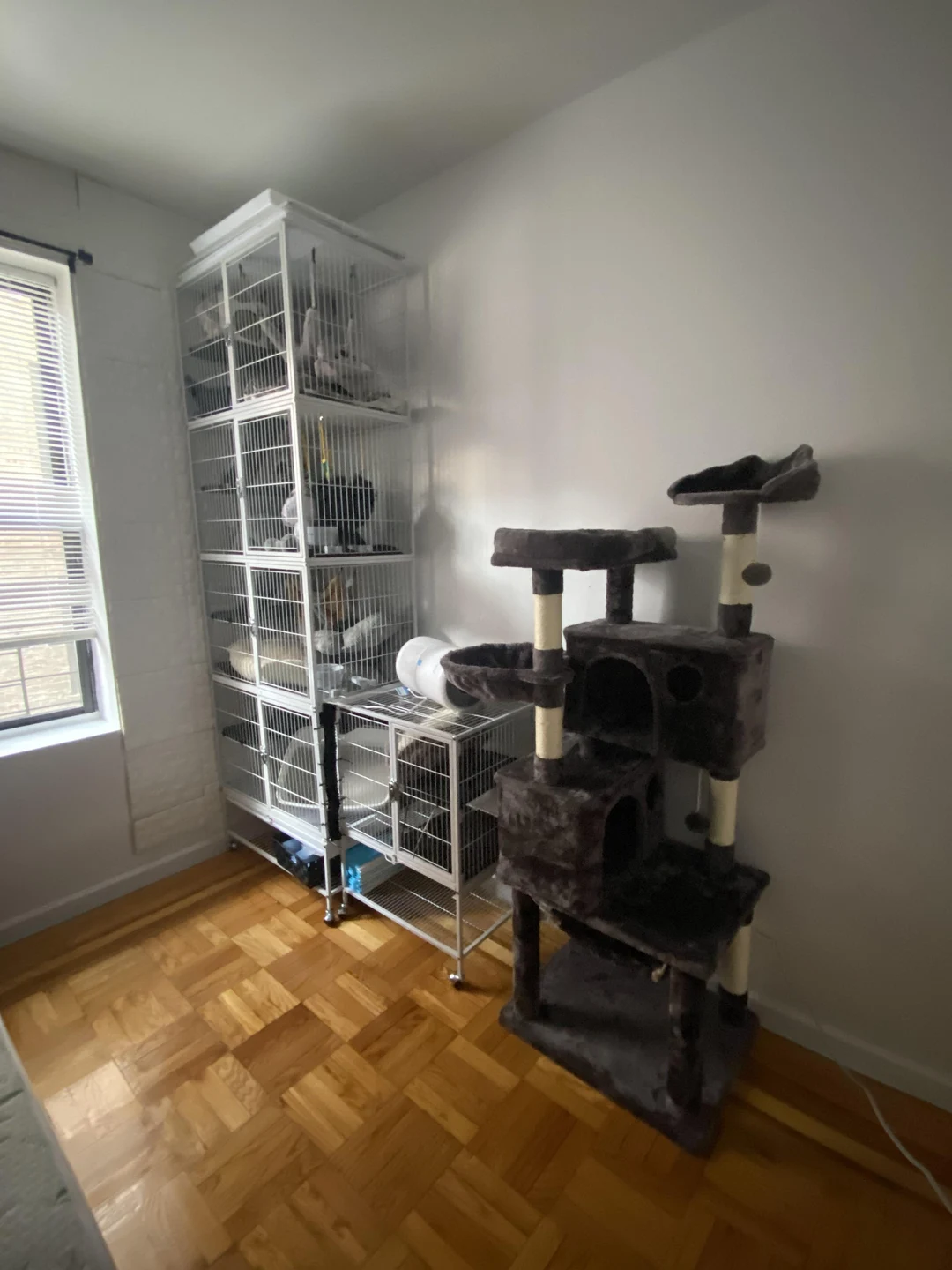 My diy ferret cage | Scrolller