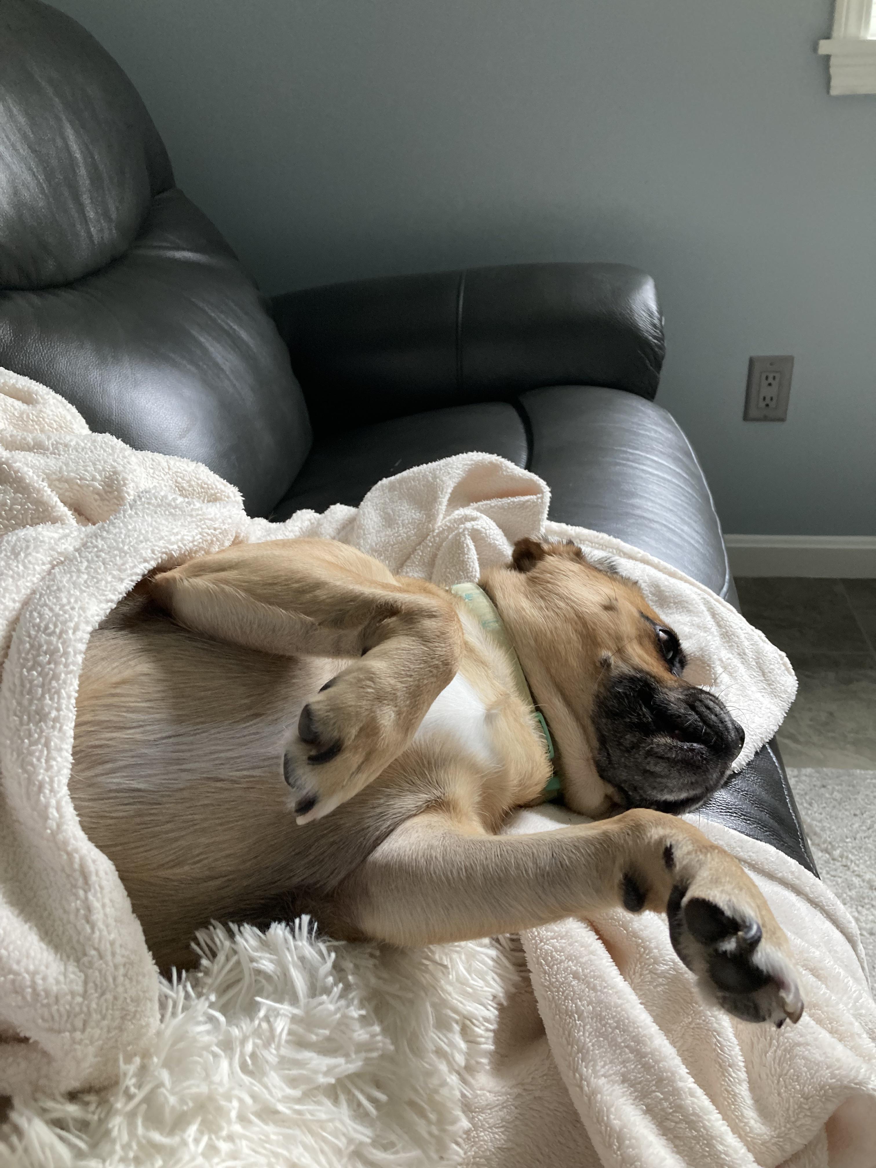 More please | Scrolller