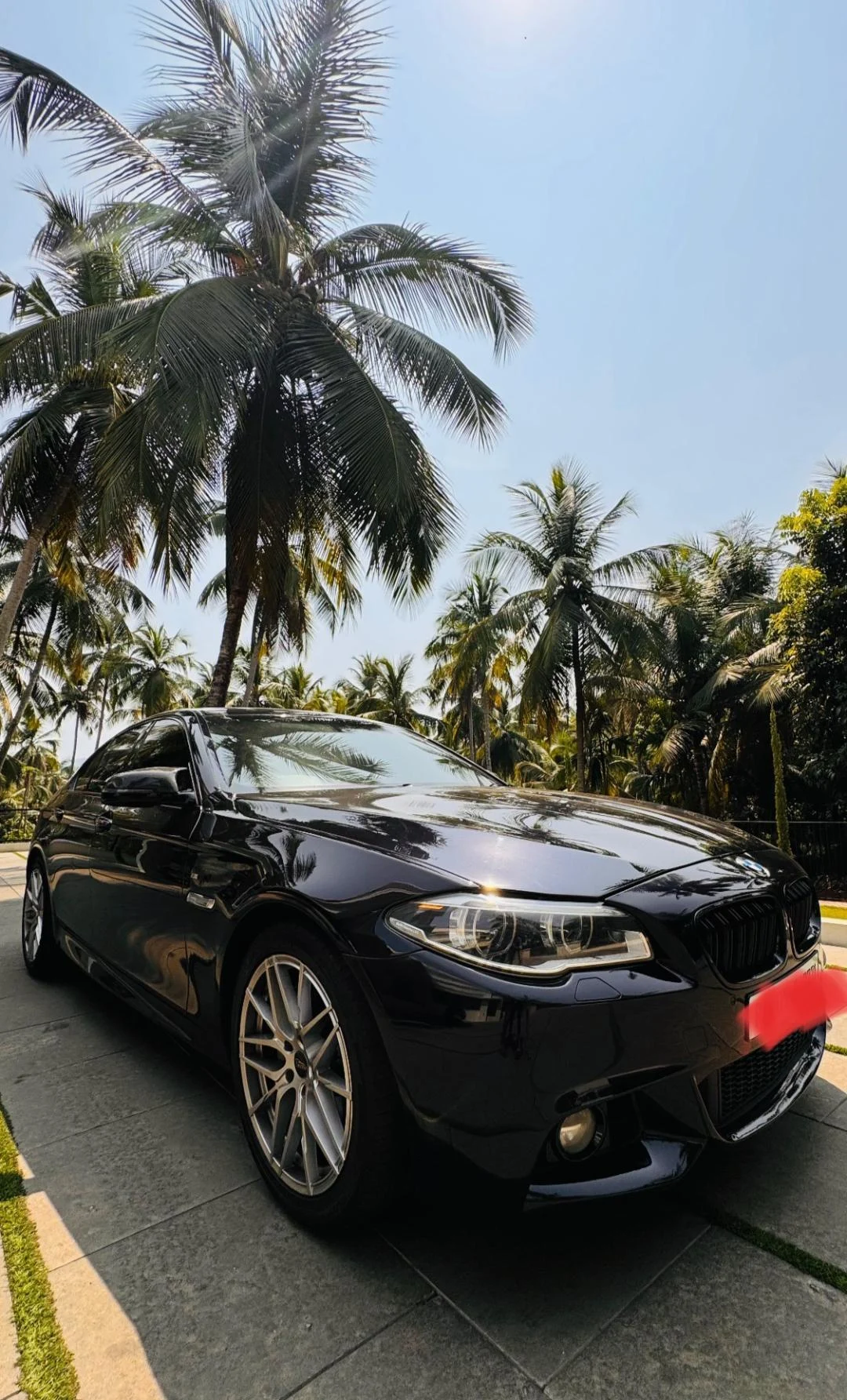 Aggressive pose! | Scrolller