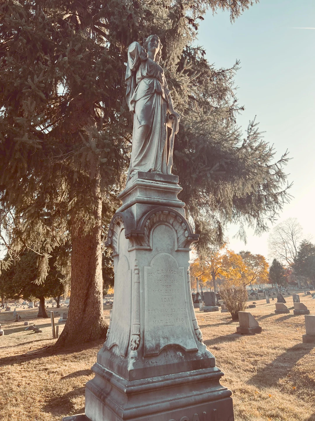 A golden hour statue | Scrolller