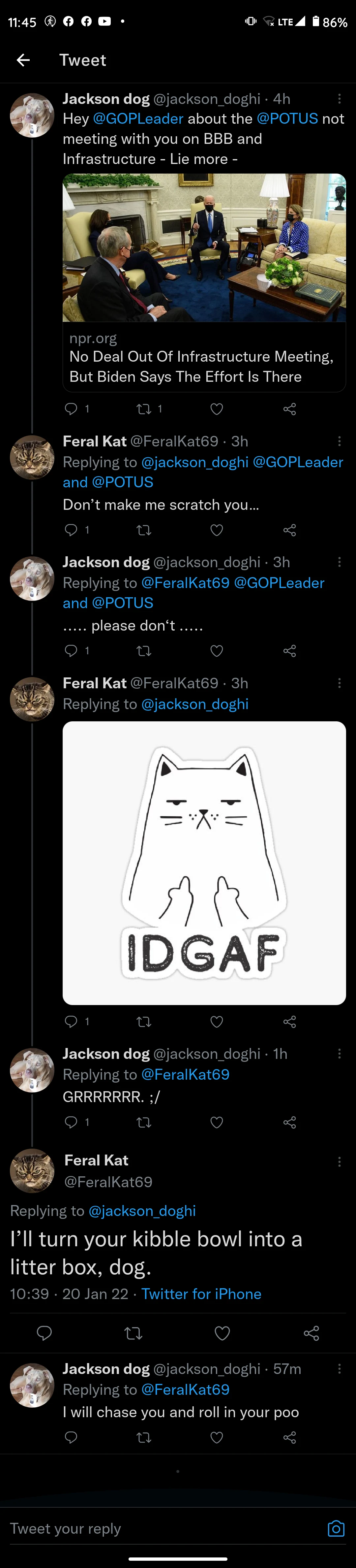 My attack dog account is being "harassed" by a feral cat account lol. | Scrolller