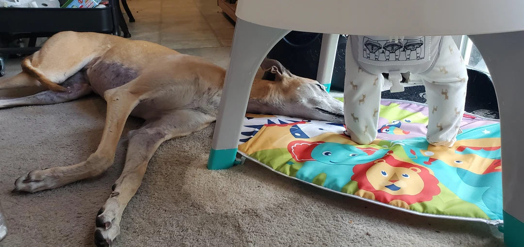 Ada relaxing in the 'danger zone' | Scrolller