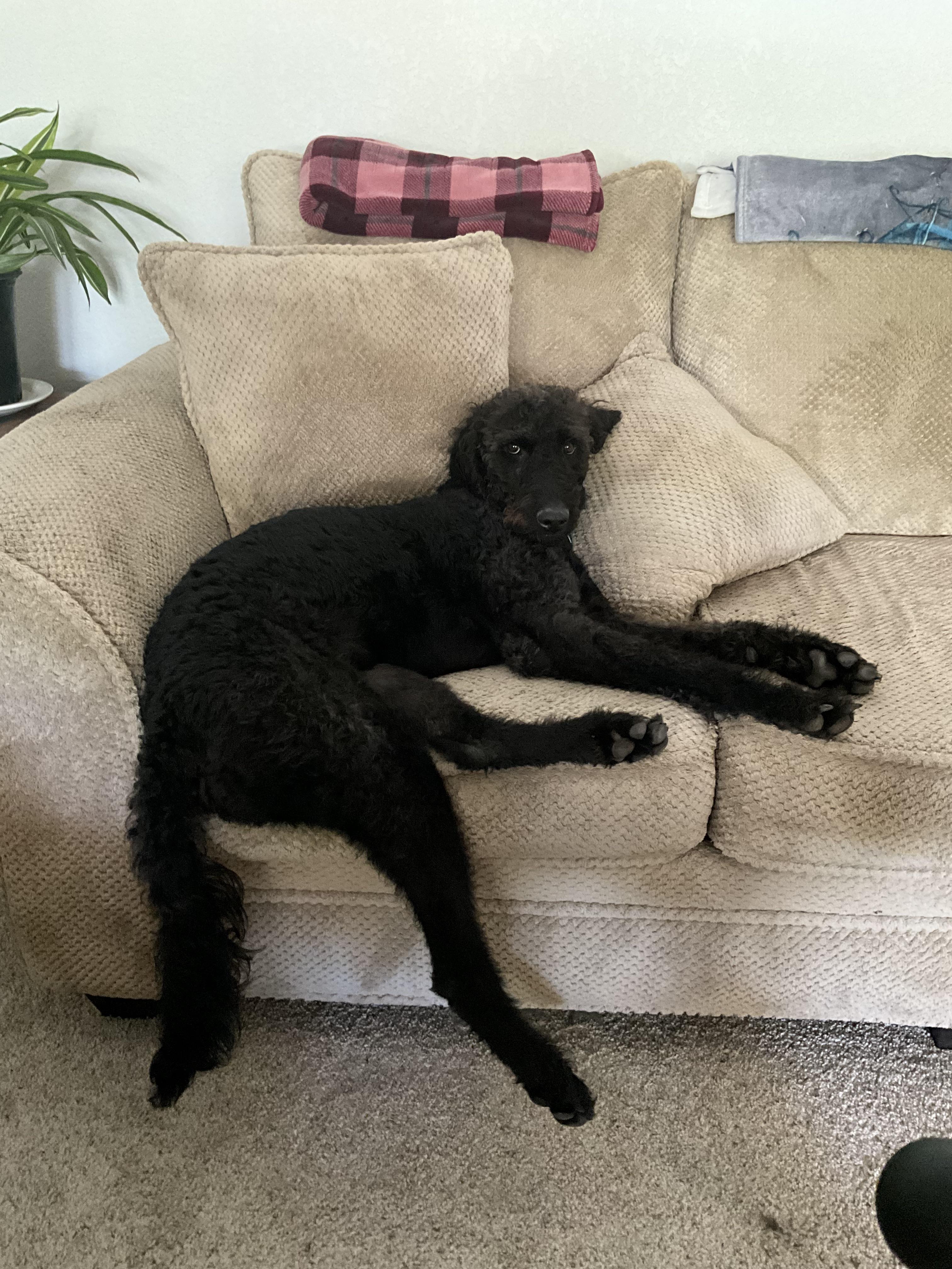 My spot human | Scrolller