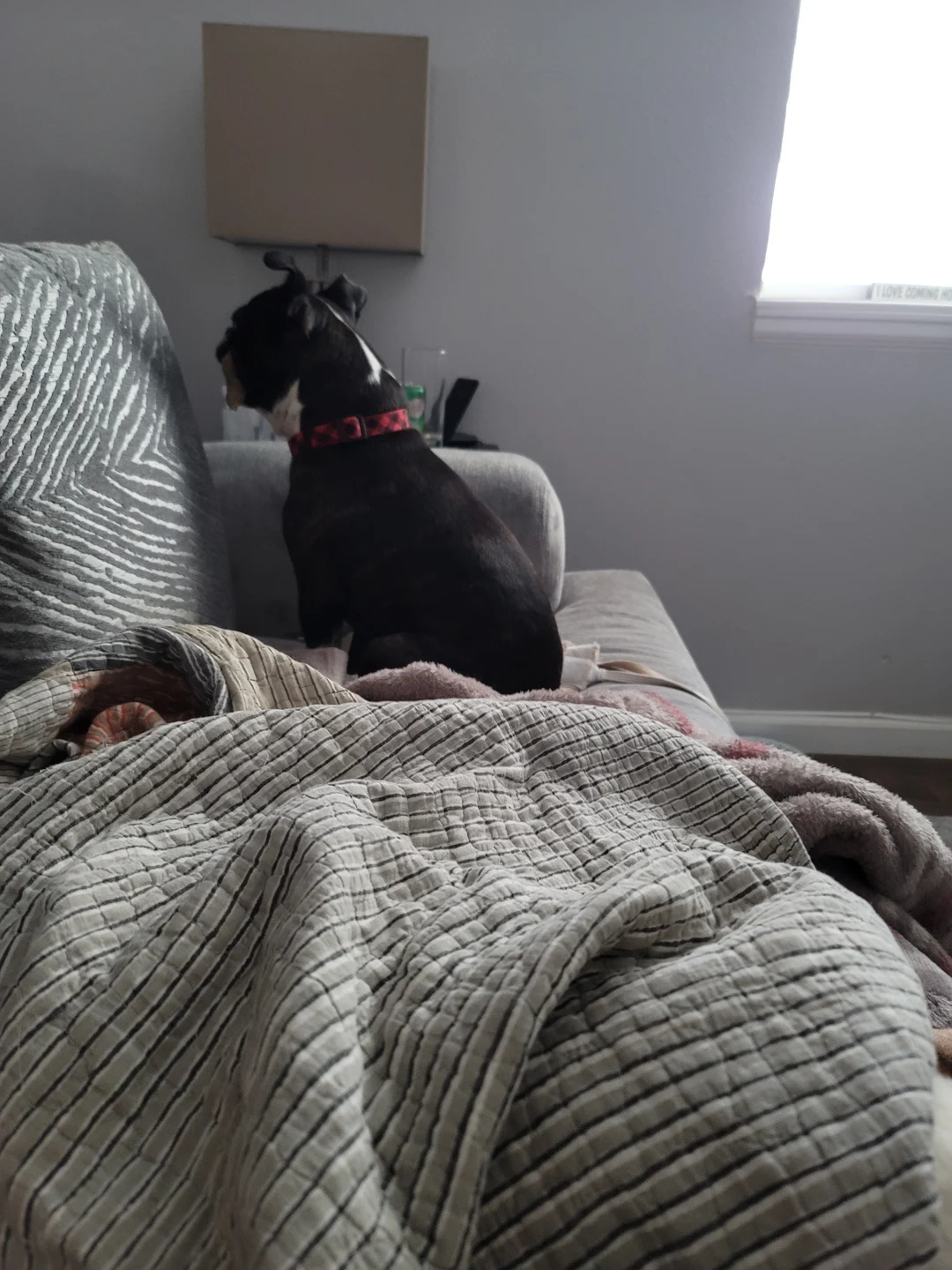 Gus put himself in time out | Scrolller