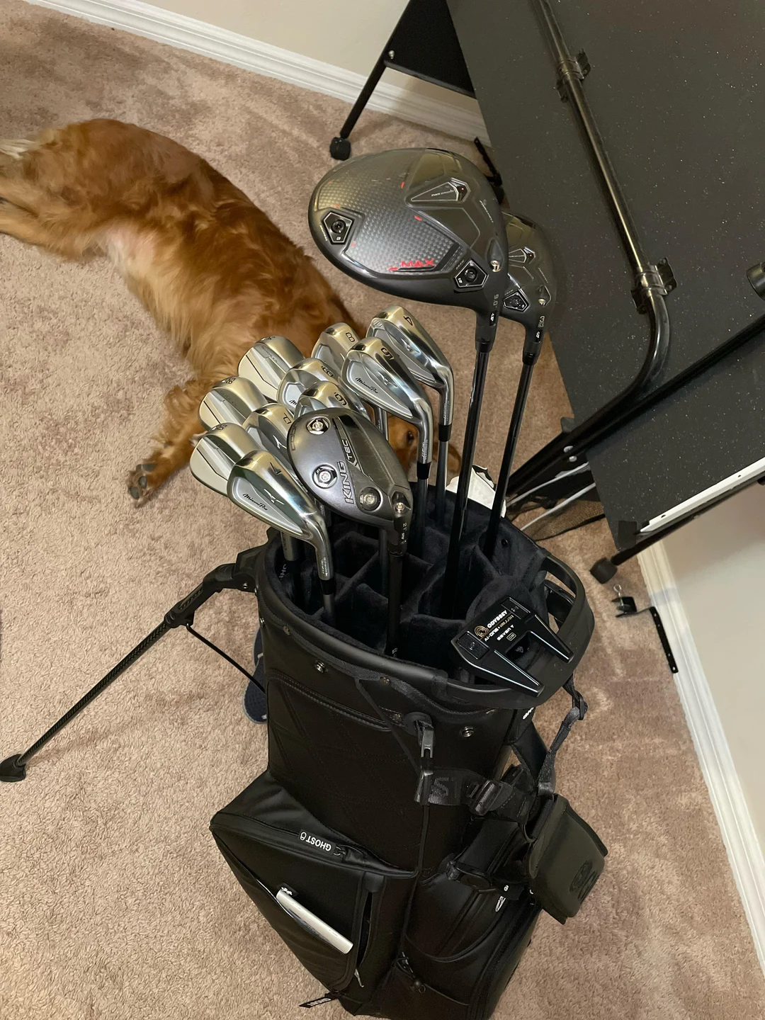 What do yall have in the bag?? | Scrolller