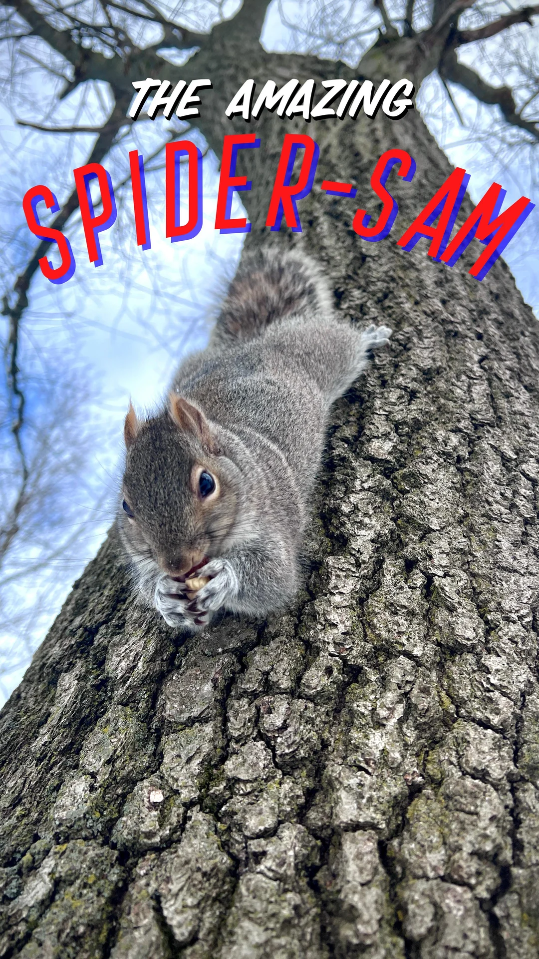 Samuel’s new comic book! | Scrolller